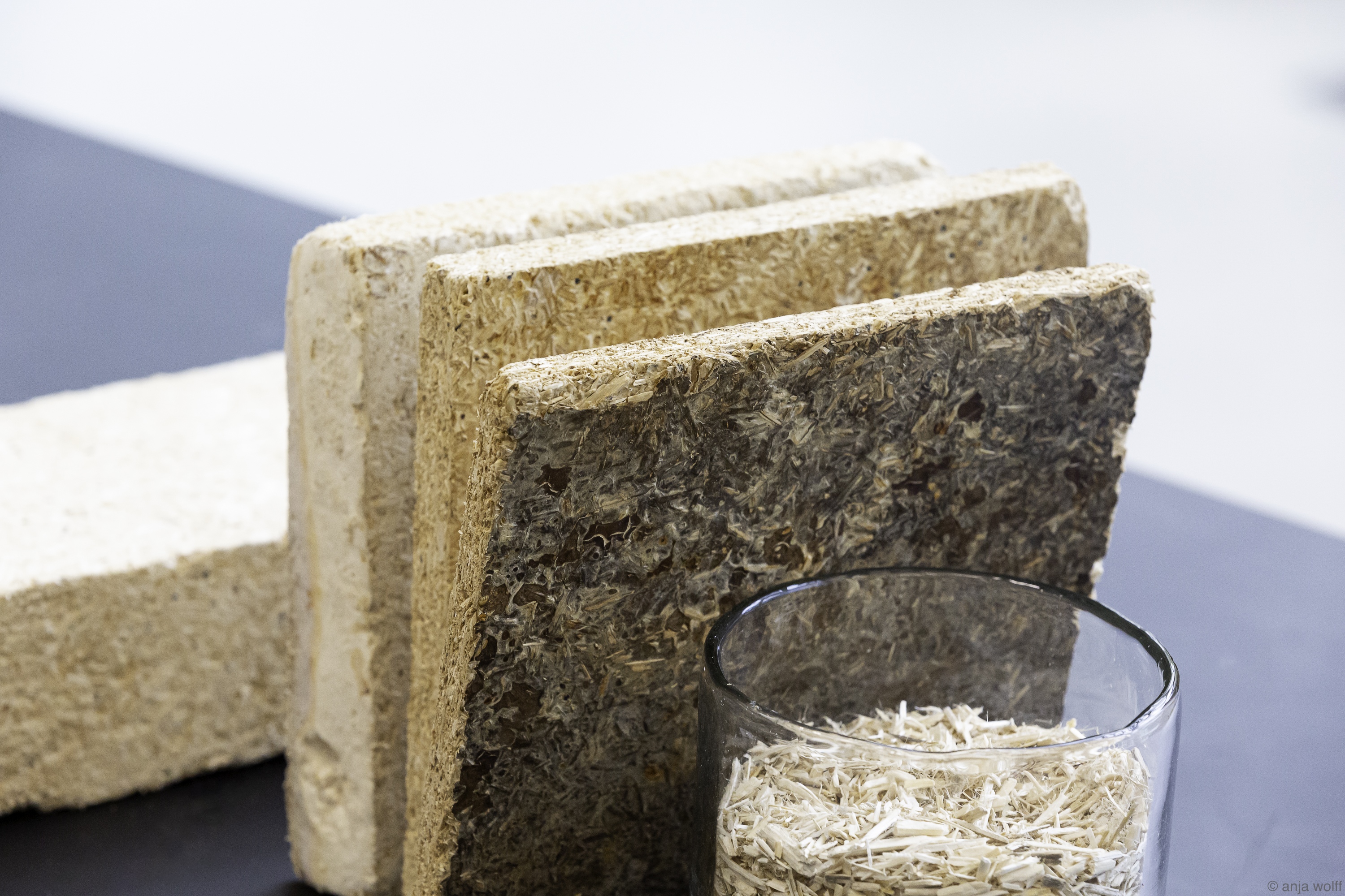 Konstruktioner med biogene byggematerialer | We Build Denmark